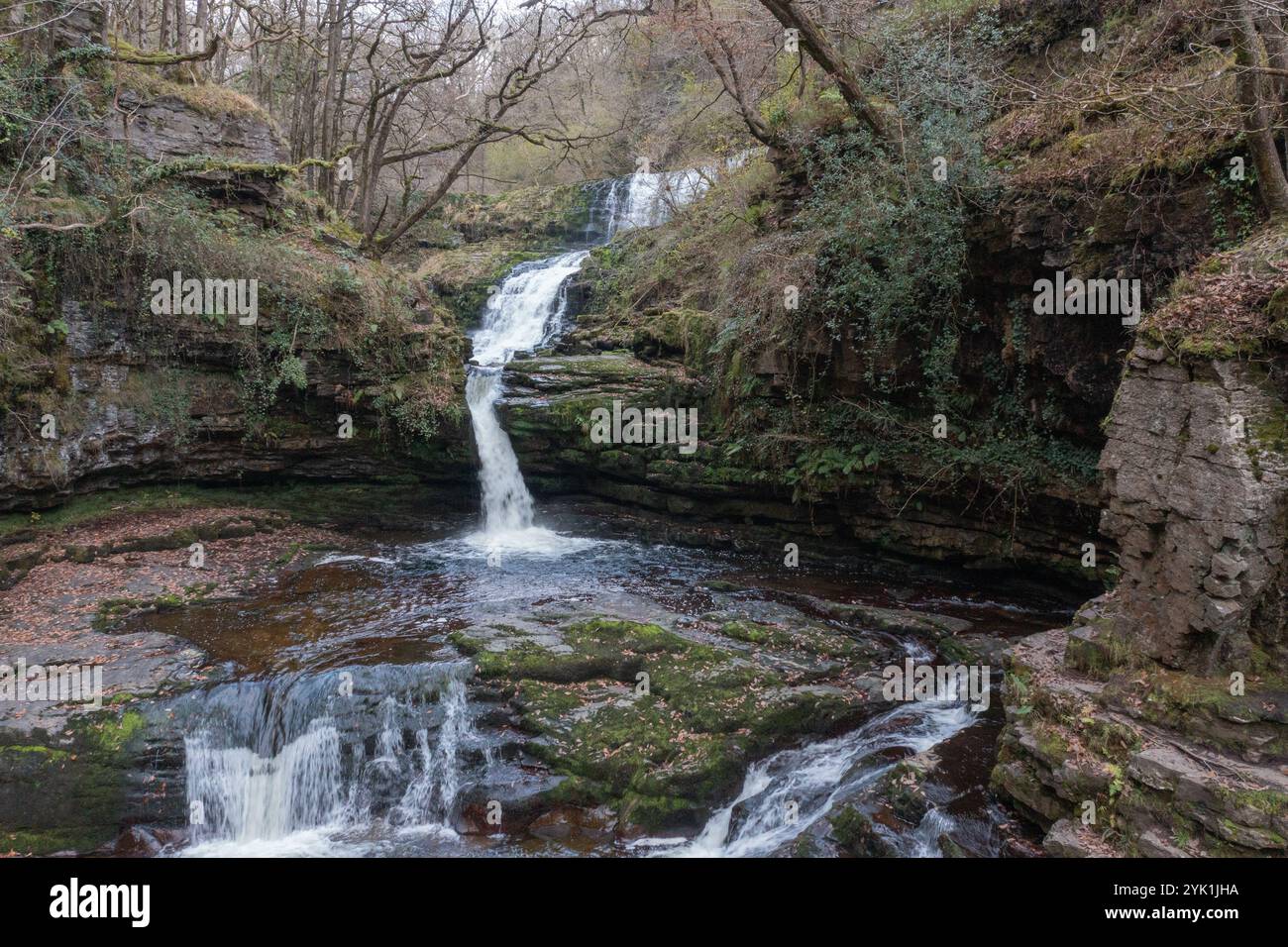 Fon view hi-res stock photography and images - Alamy