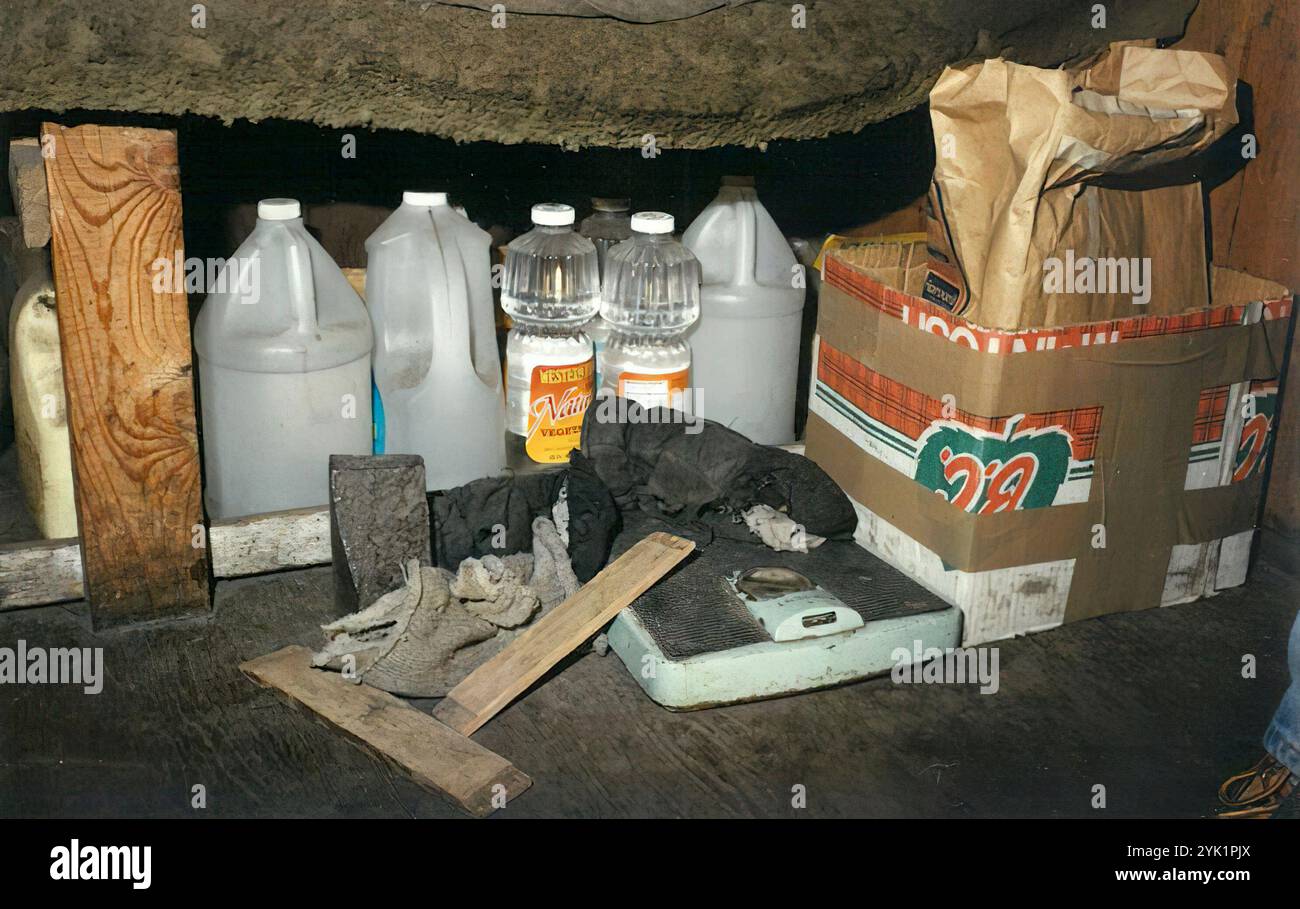 Cabin ted kaczynski unabomber hi-res stock photography and images - Alamy