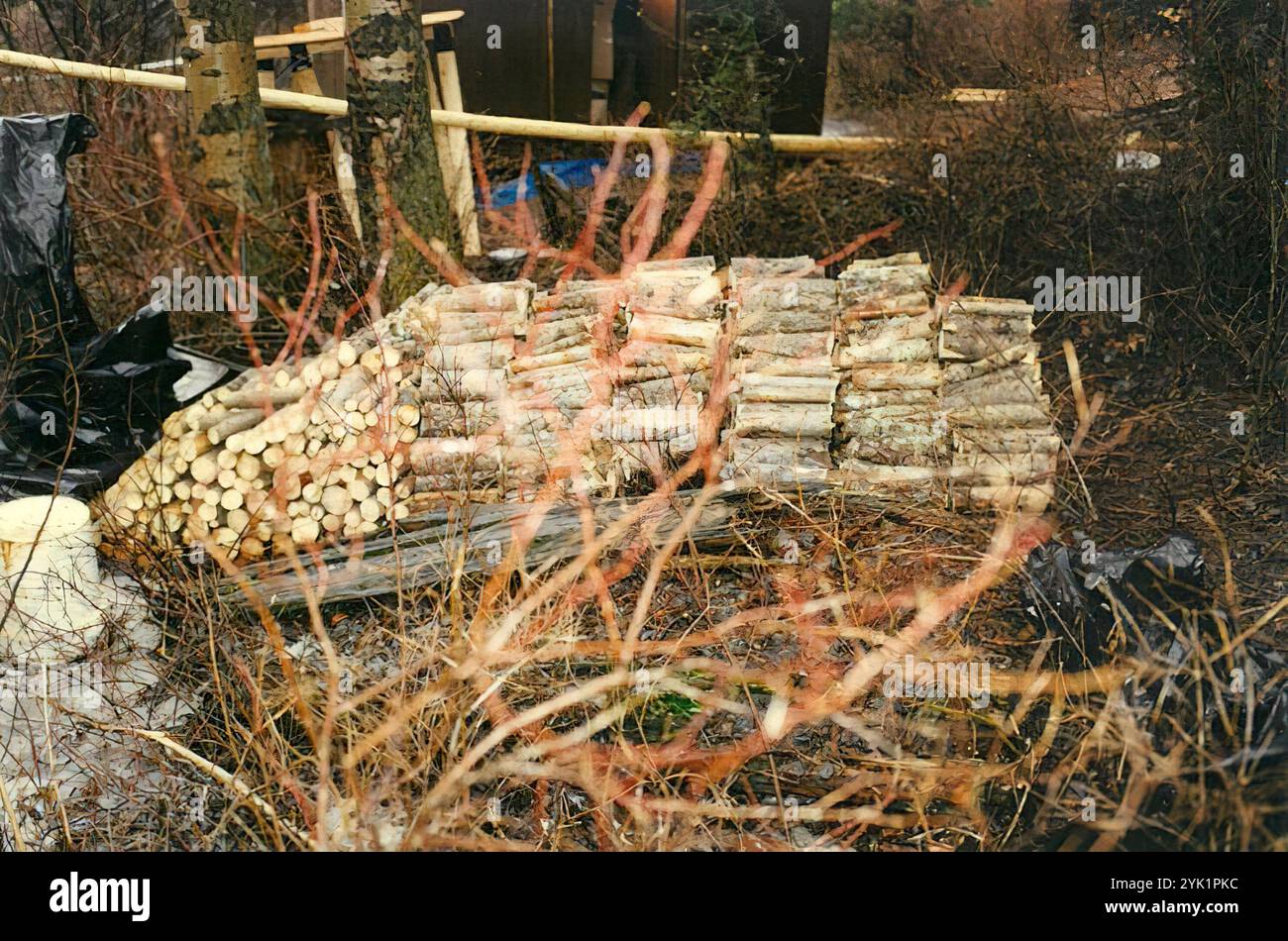 Cabin ted kaczynski unabomber hi-res stock photography and images - Alamy