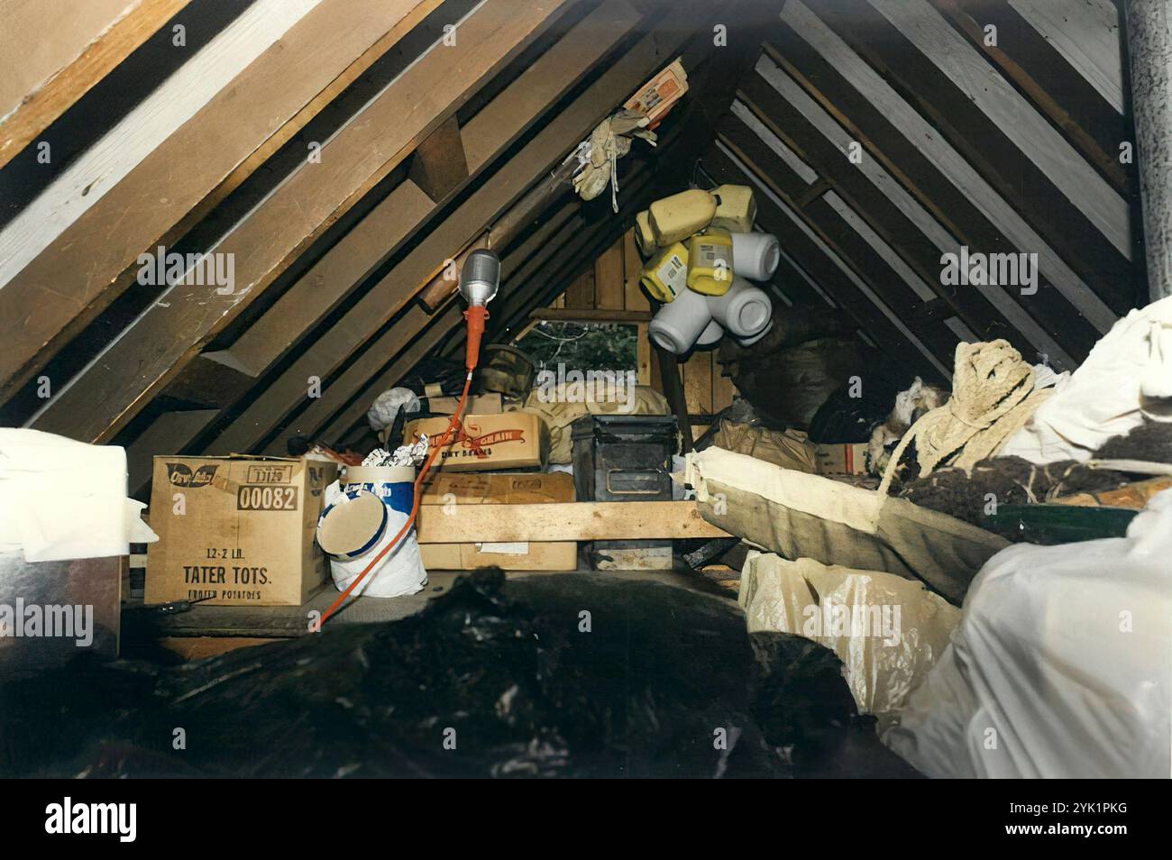 Cabin ted kaczynski unabomber hi-res stock photography and images - Alamy