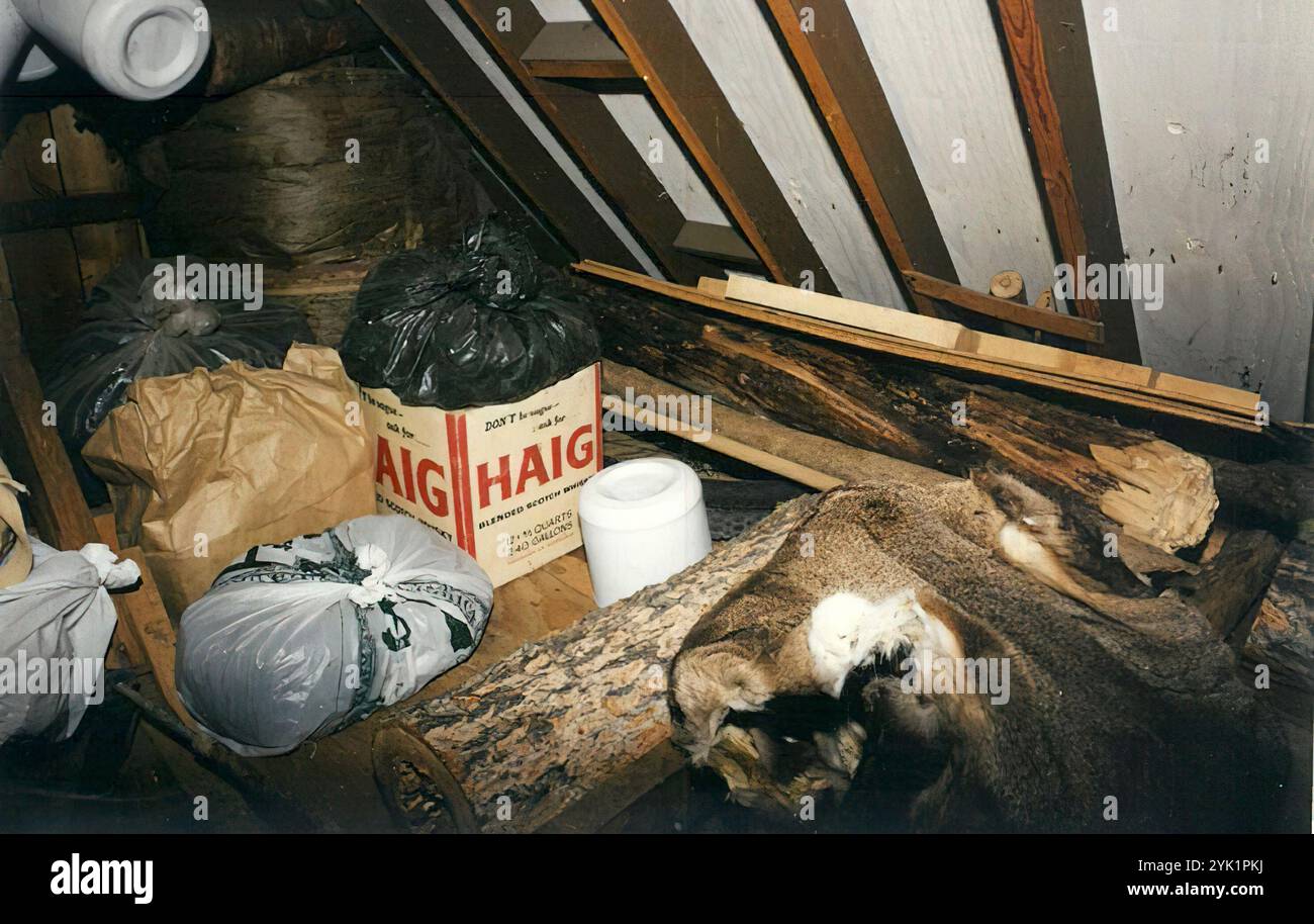 Cabin ted kaczynski unabomber hi-res stock photography and images - Alamy