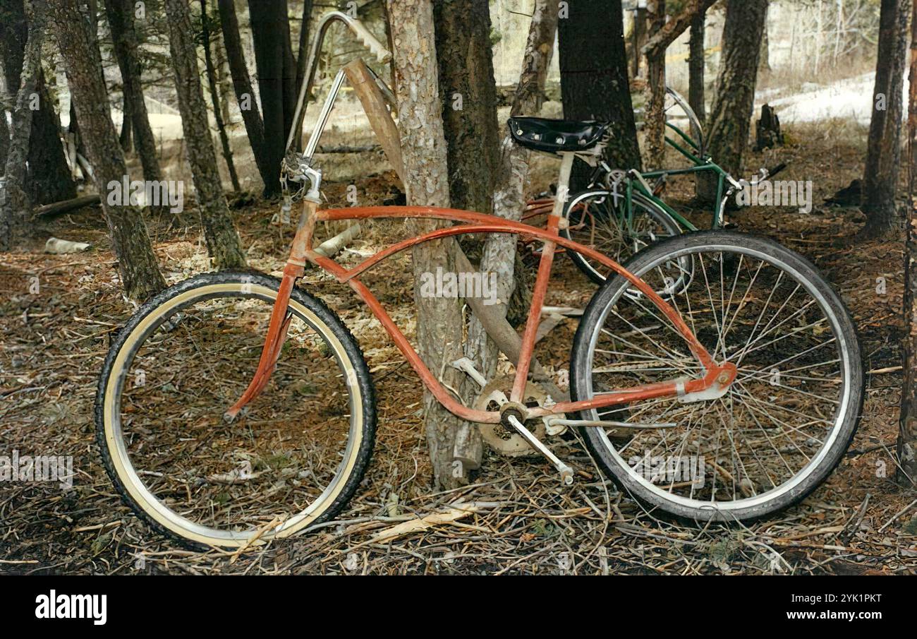 Cabin ted kaczynski unabomber hi-res stock photography and images - Alamy