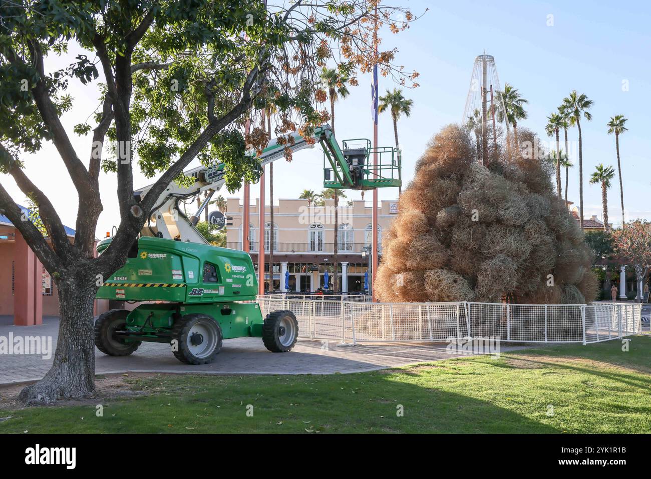 Tumbleweed christmas tree hi-res stock photography and images - Alamy
