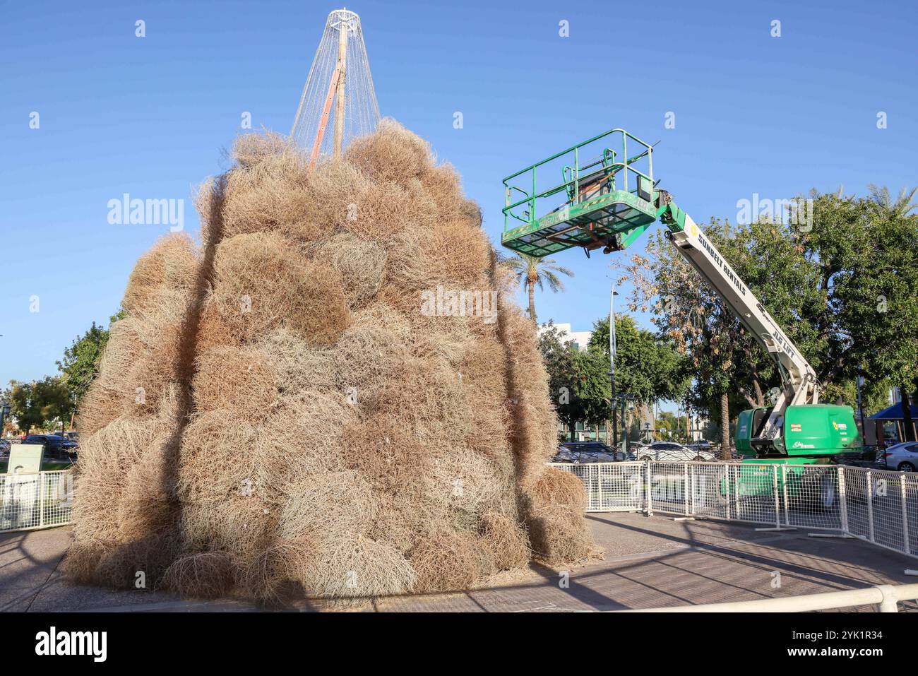 Chandler, USA. 15th Nov, 2024. The Tumbleweed Christmas Tree is being ...