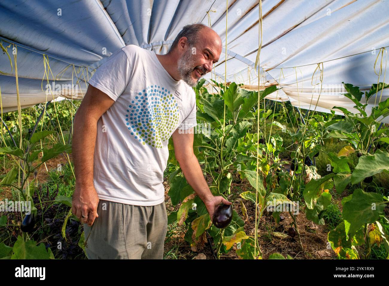 Regenerative agriculture fields in San Pol de Mar, Ferrer ...