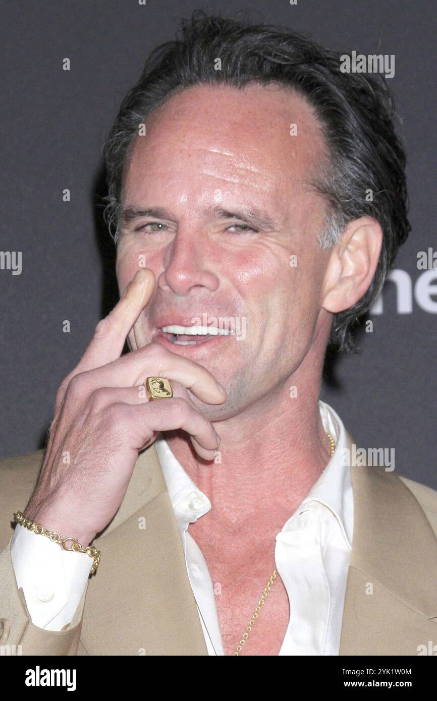 Ca. 15th Nov, 2024. Walton Goggins at arrivals for THE UNINVITED ...