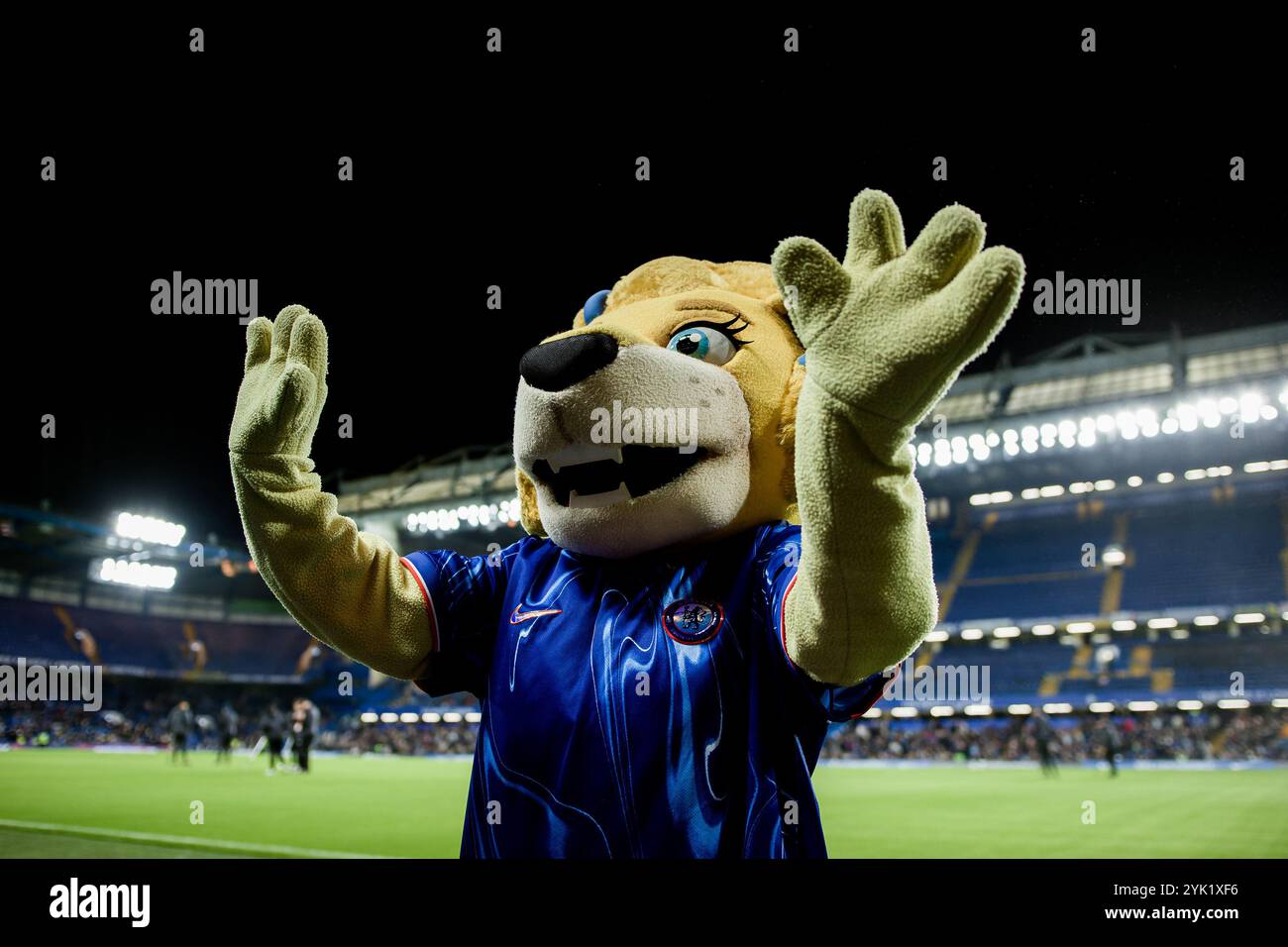 London, UK. 16th Nov, 2024. London, England, November 16 2024: Chelsea ...