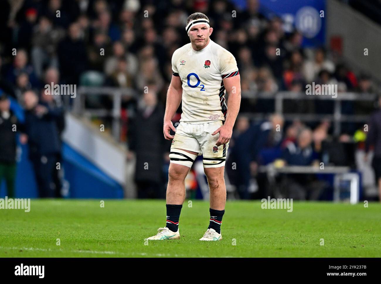Twickenham, United Kingdom. 16th Nov, 2024. Autumn International ...
