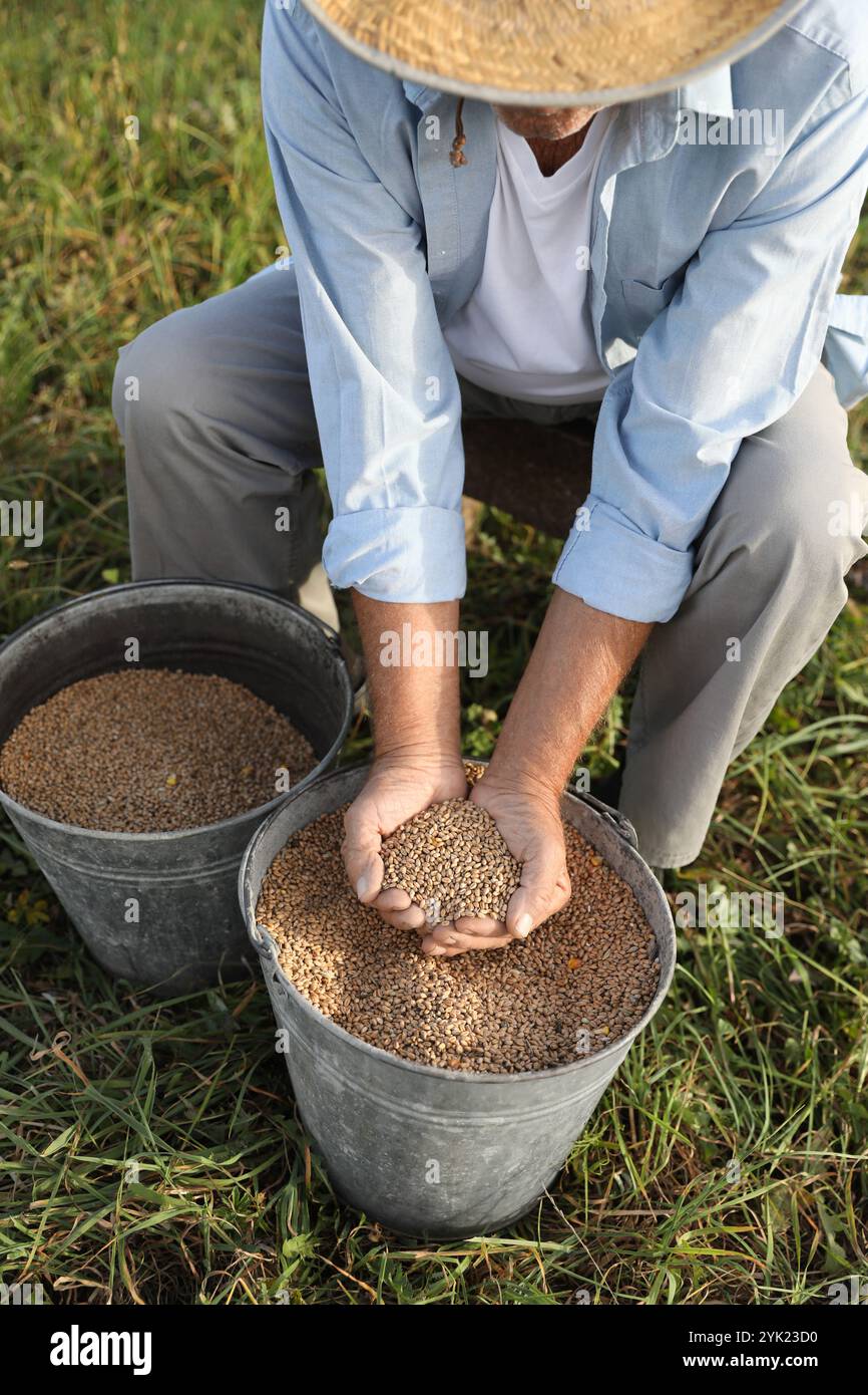 Farmer man holding wheat grains hi-res stock photography and images - Alamy