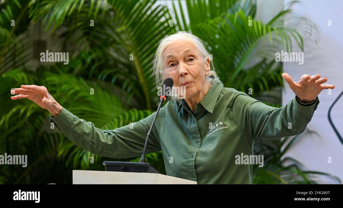 MUMBAI, INDIA - NOVEMBER 16: Renowned conservationist and primatologist ...