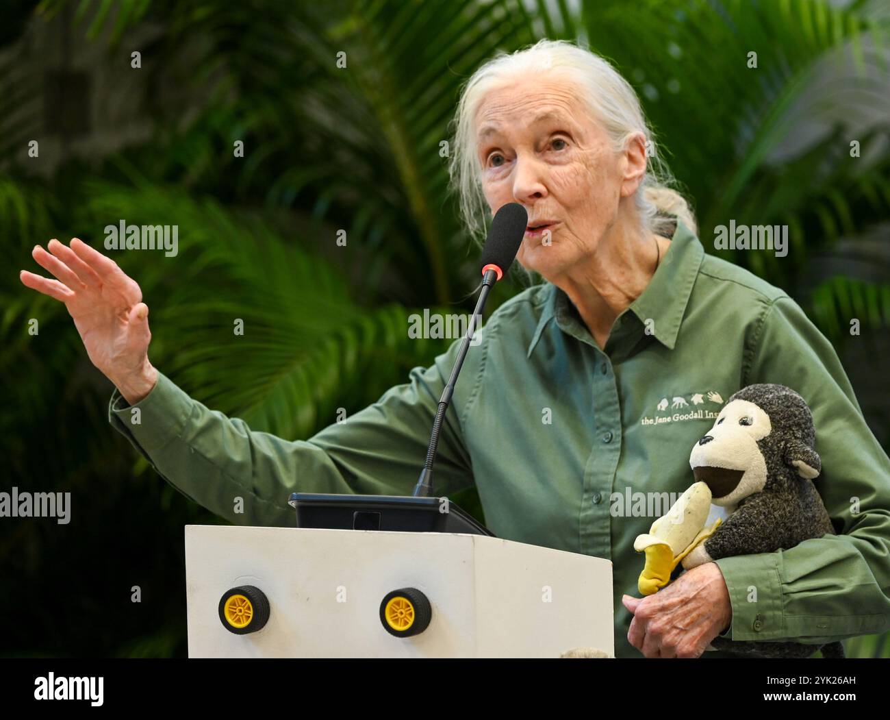 MUMBAI, INDIA - NOVEMBER 16: Renowned conservationist and primatologist ...