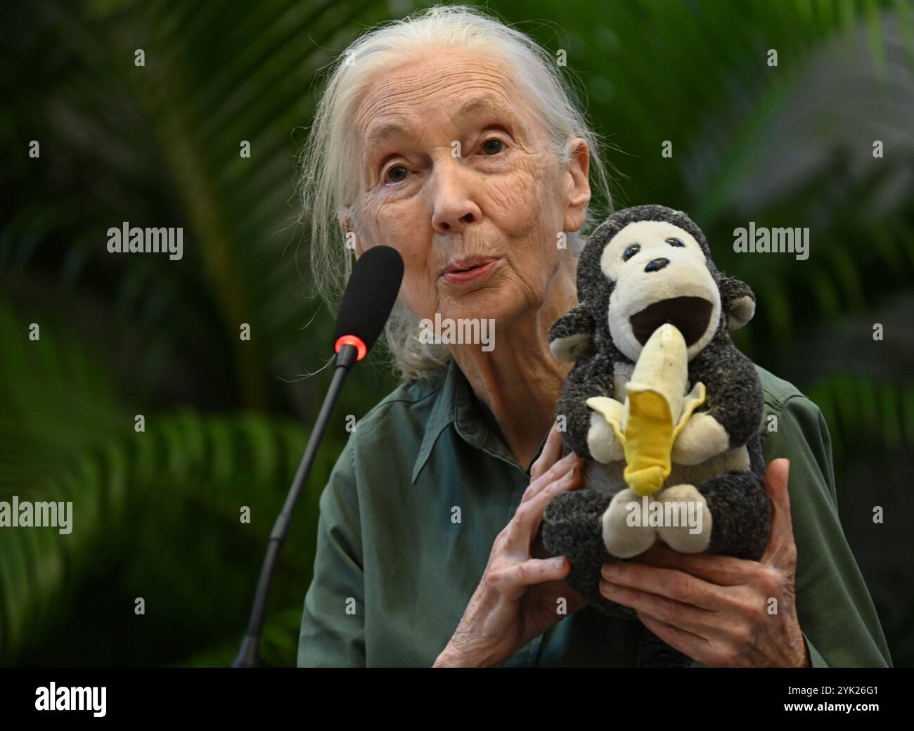 MUMBAI, INDIA - NOVEMBER 16: Renowned conservationist and primatologist ...