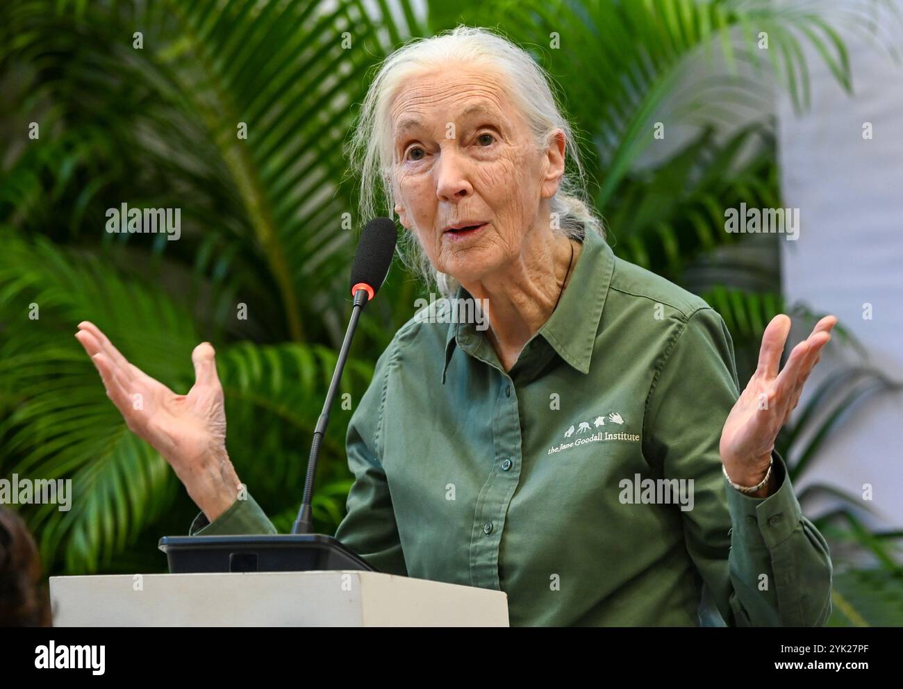 MUMBAI, INDIA - NOVEMBER 16: Renowned conservationist and primatologist ...