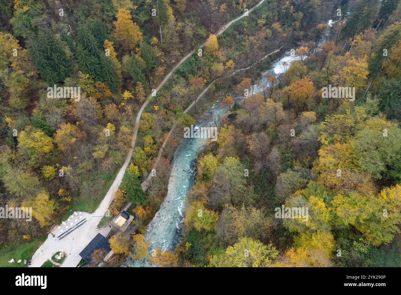 Drone aerial breathtaking autumn scenery river flowing through colorful ...
