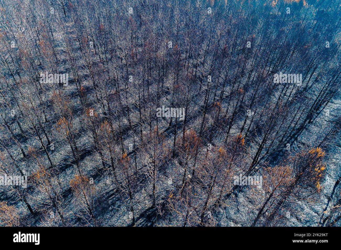 Aerial view wildfire devastation rural hi-res stock photography and ...