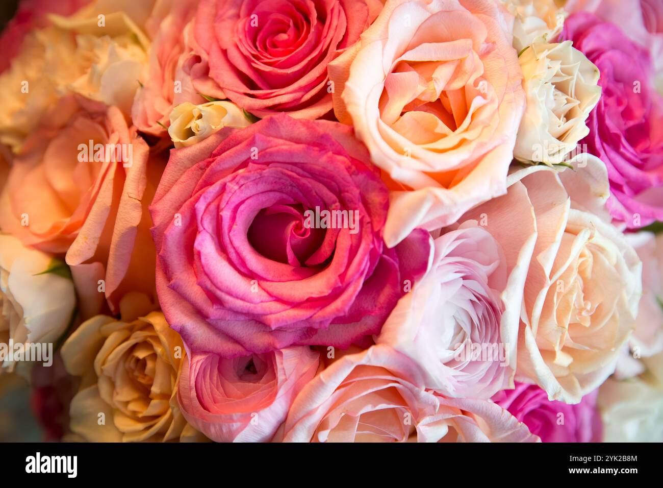 Vibrant floral texture hi-res stock photography and images - Alamy