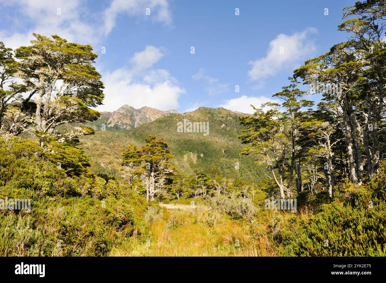 Ainsworth Bay,Alberto de Agostini National Park,Tierra del Fuego ...