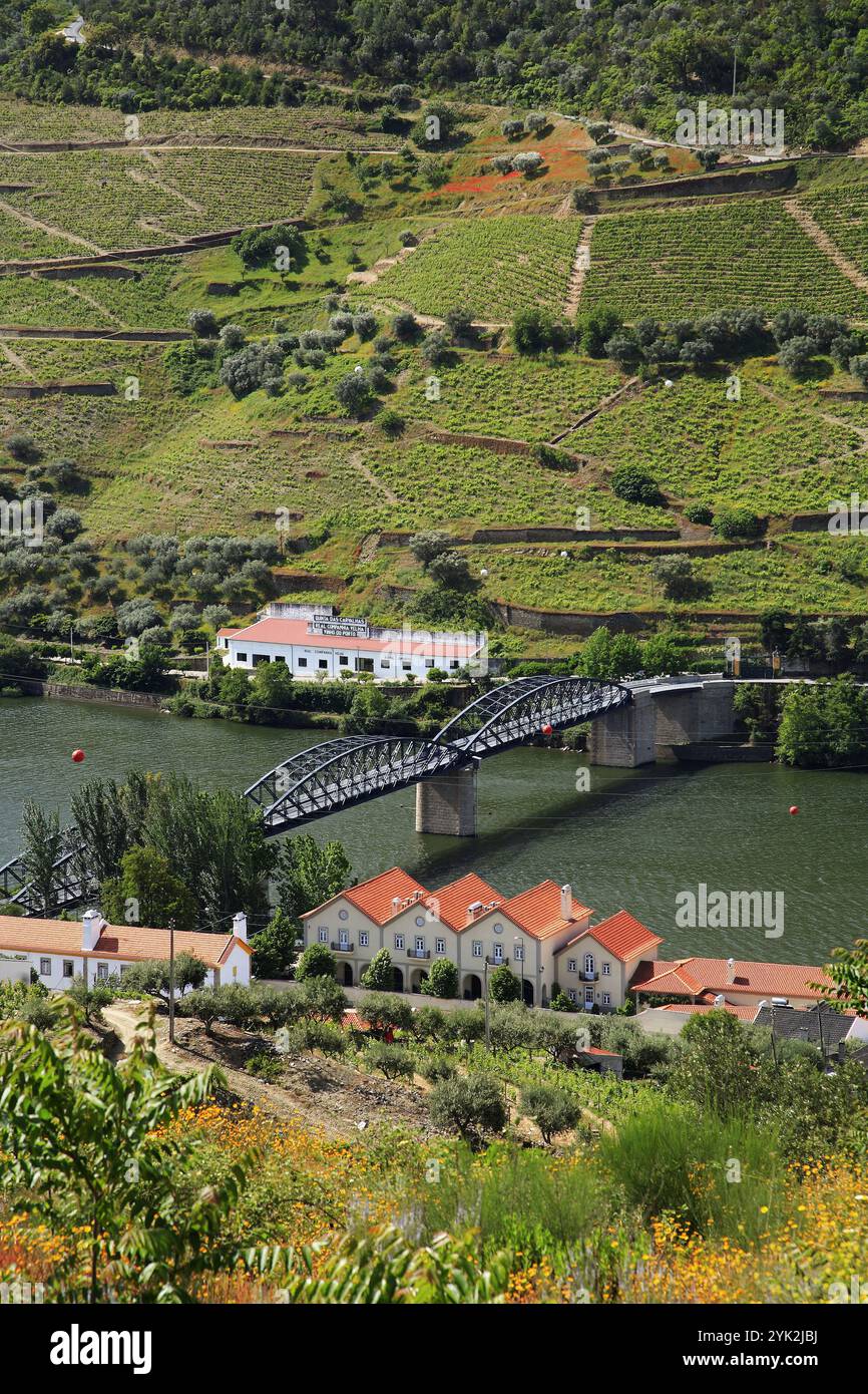 Portugal, Douro, Douro river at Pinhao, wineyards, bridge Stock Photo ...