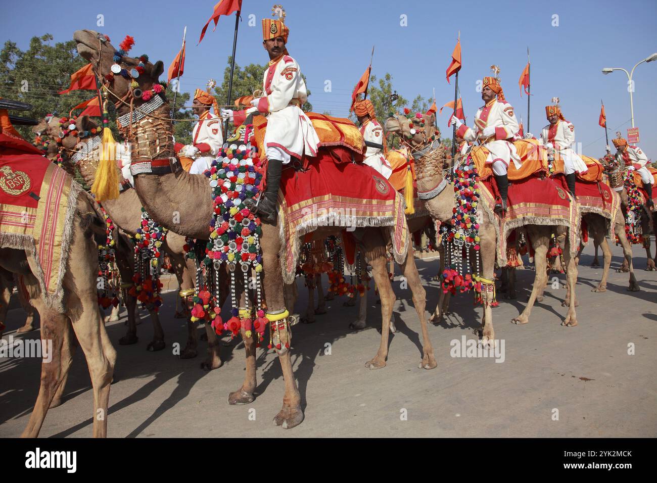 Camel procession hi-res stock photography and images - Alamy