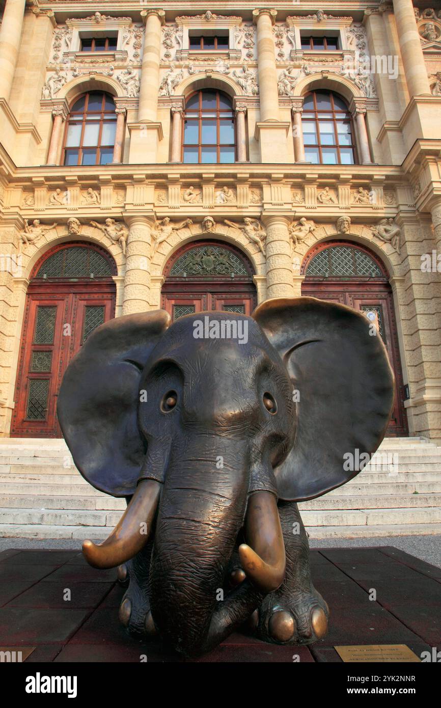 Vienna museum natural history hi-res stock photography and images - Alamy