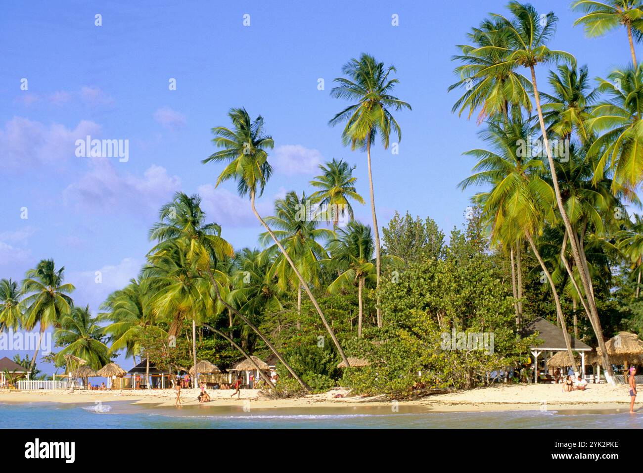 Caribbean, Tobago, Pigeon Point, beach Stock Photo - Alamy
