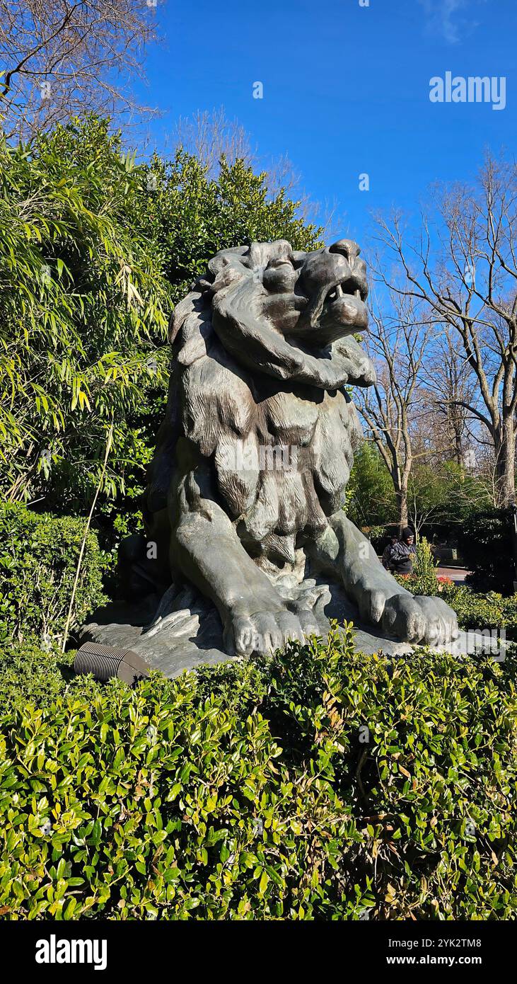 WASHINGTON D.C.-FEB 14, 2024: A bronze Lion statue at the entrance of ...