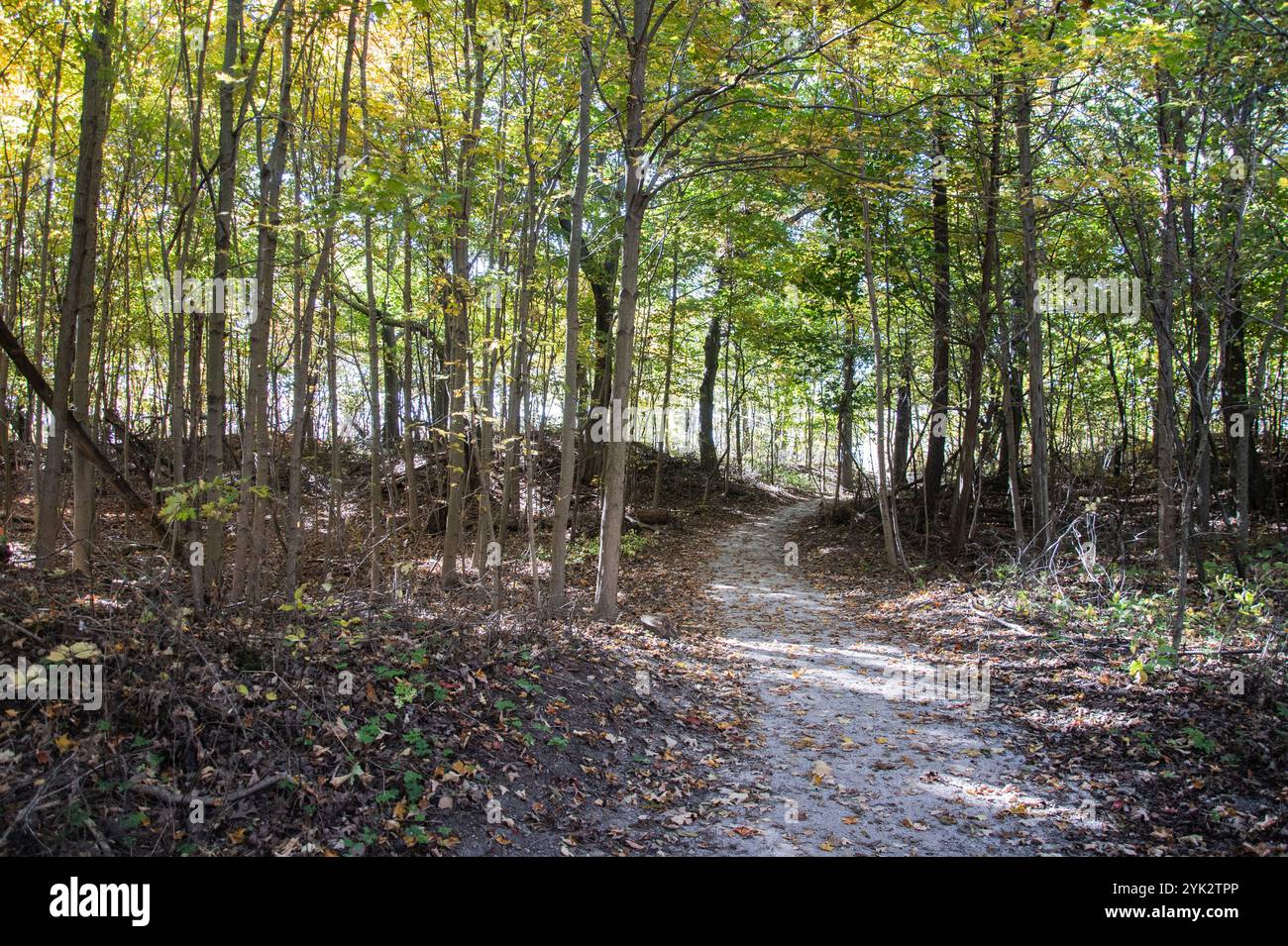 Trail through the forest to Madbin Jina at Point Pelee National Park in ...