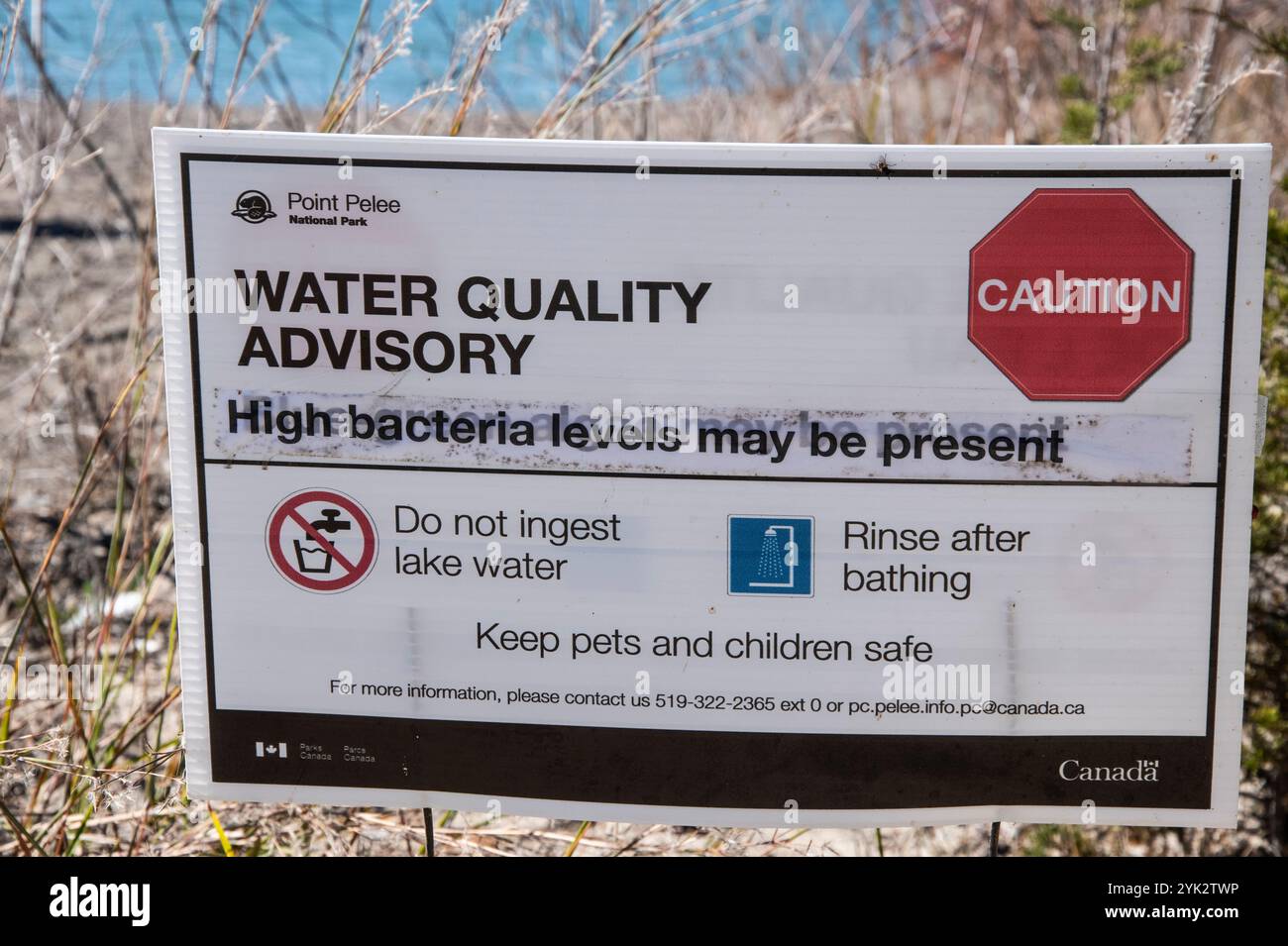 Water quality advisory caution sign at the beach by the dunes at Point ...