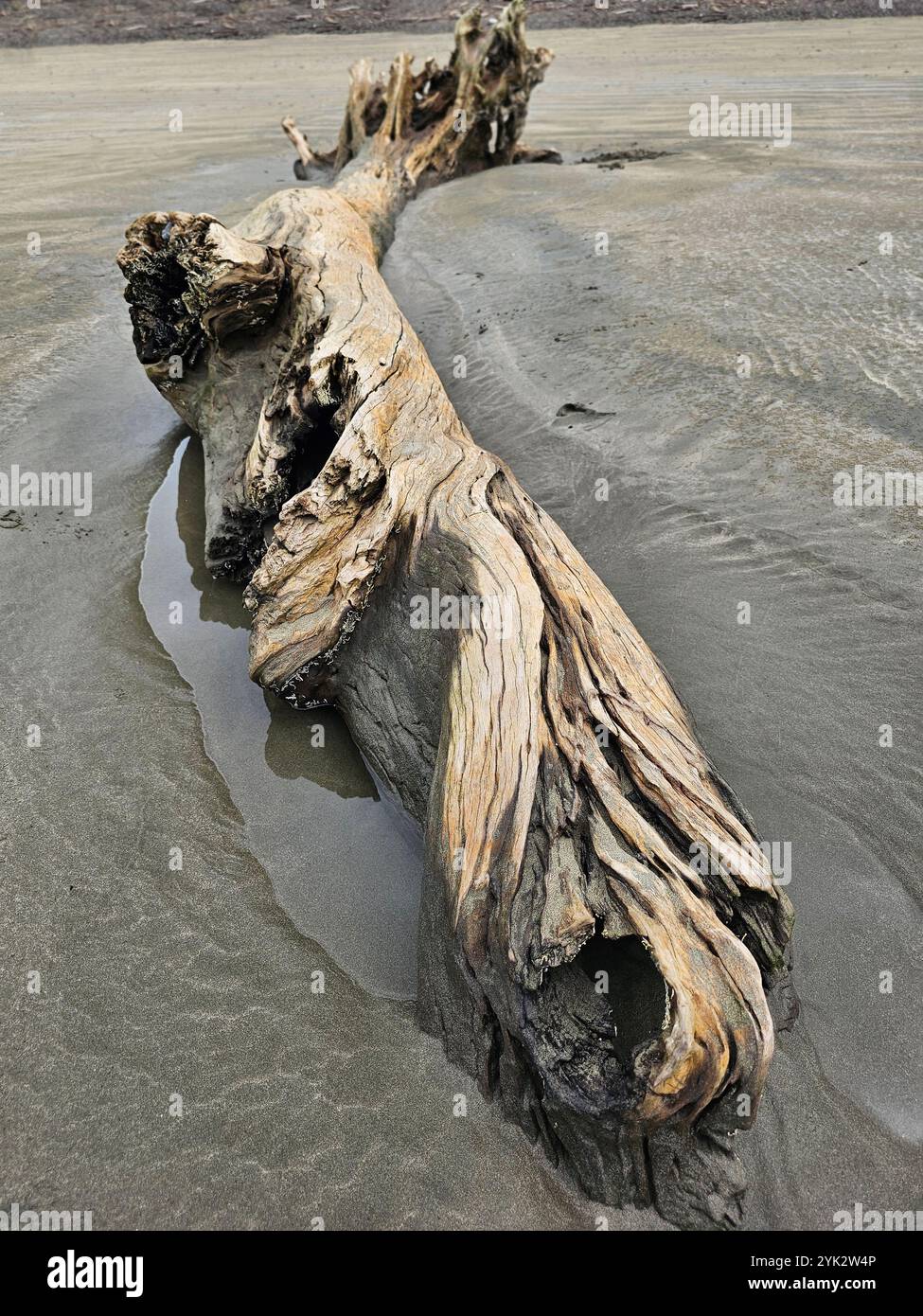 Tropocal beach hi-res stock photography and images - Alamy