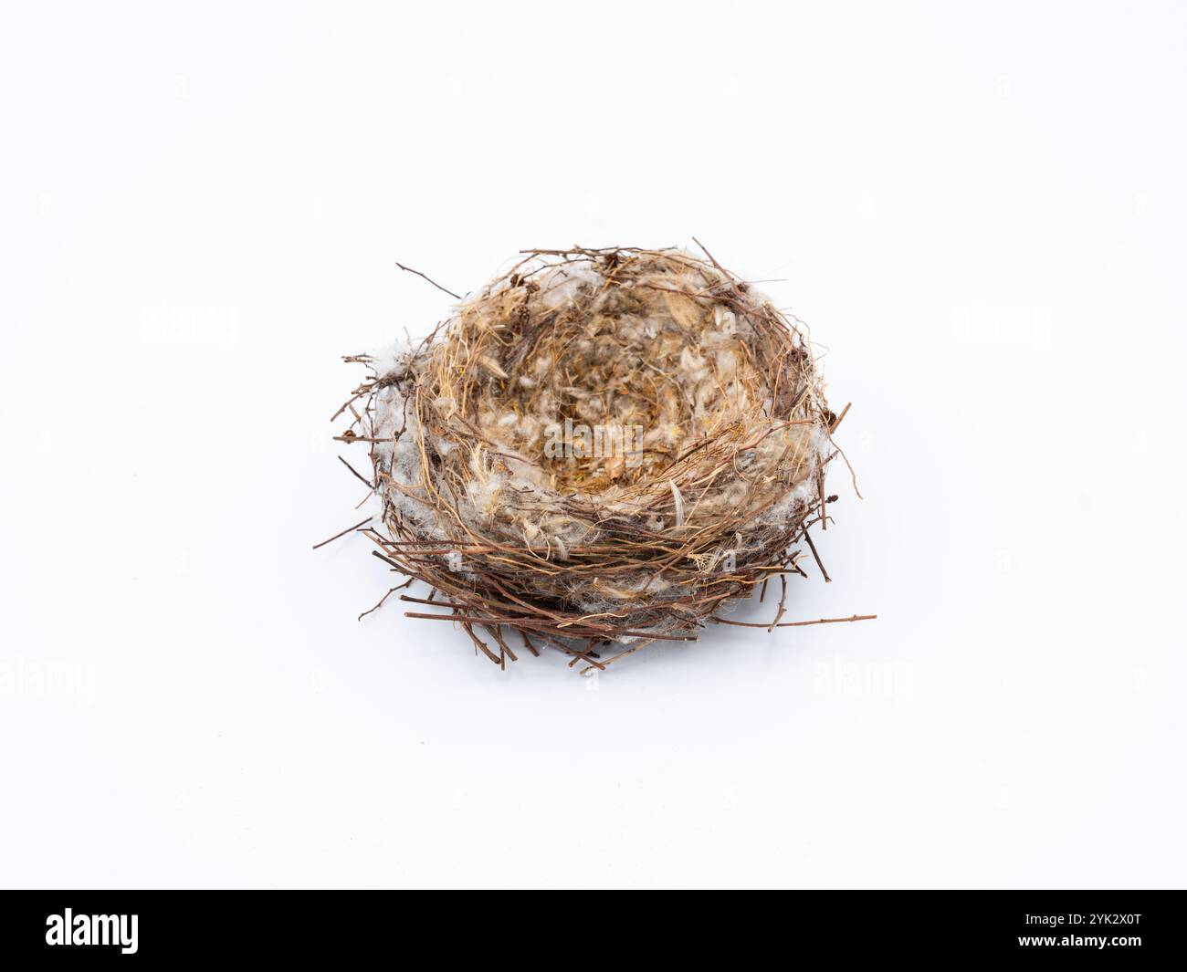 Coco blanco hi-res stock photography and images - Alamy