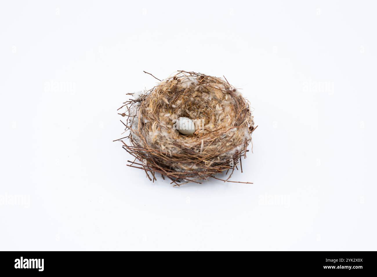 Un huevo blanco hi-res stock photography and images - Alamy