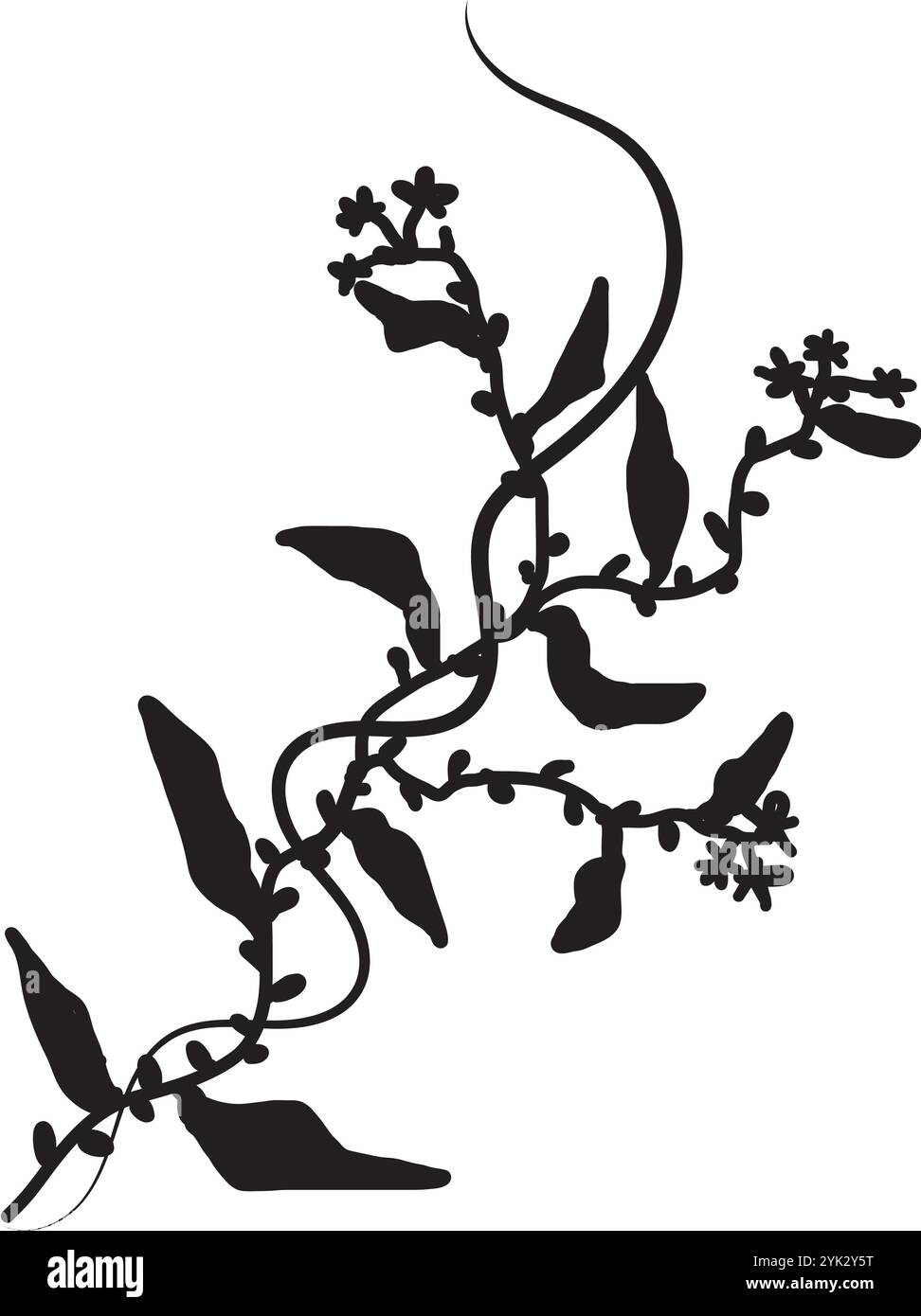 Tree leaves branches symmetry beauty Cut Out Stock Images & Pictures ...