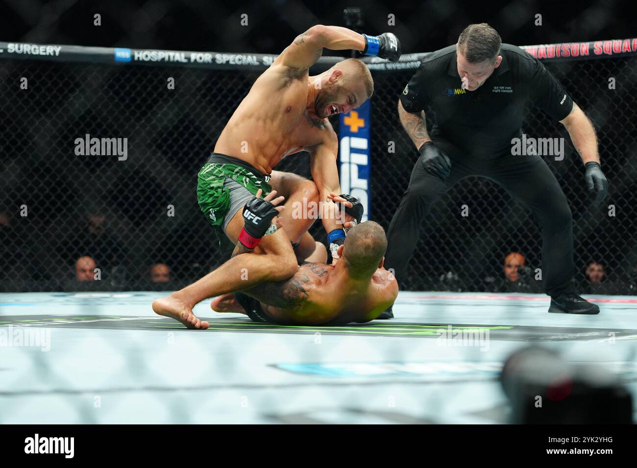 Madison Square Garden NEW YORK CITY, NY -NOVEMBER 16:Bassil Hafez and ...