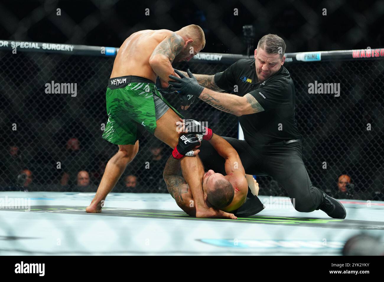 Bassil hafez and oban elliott hi-res stock photography and images - Alamy