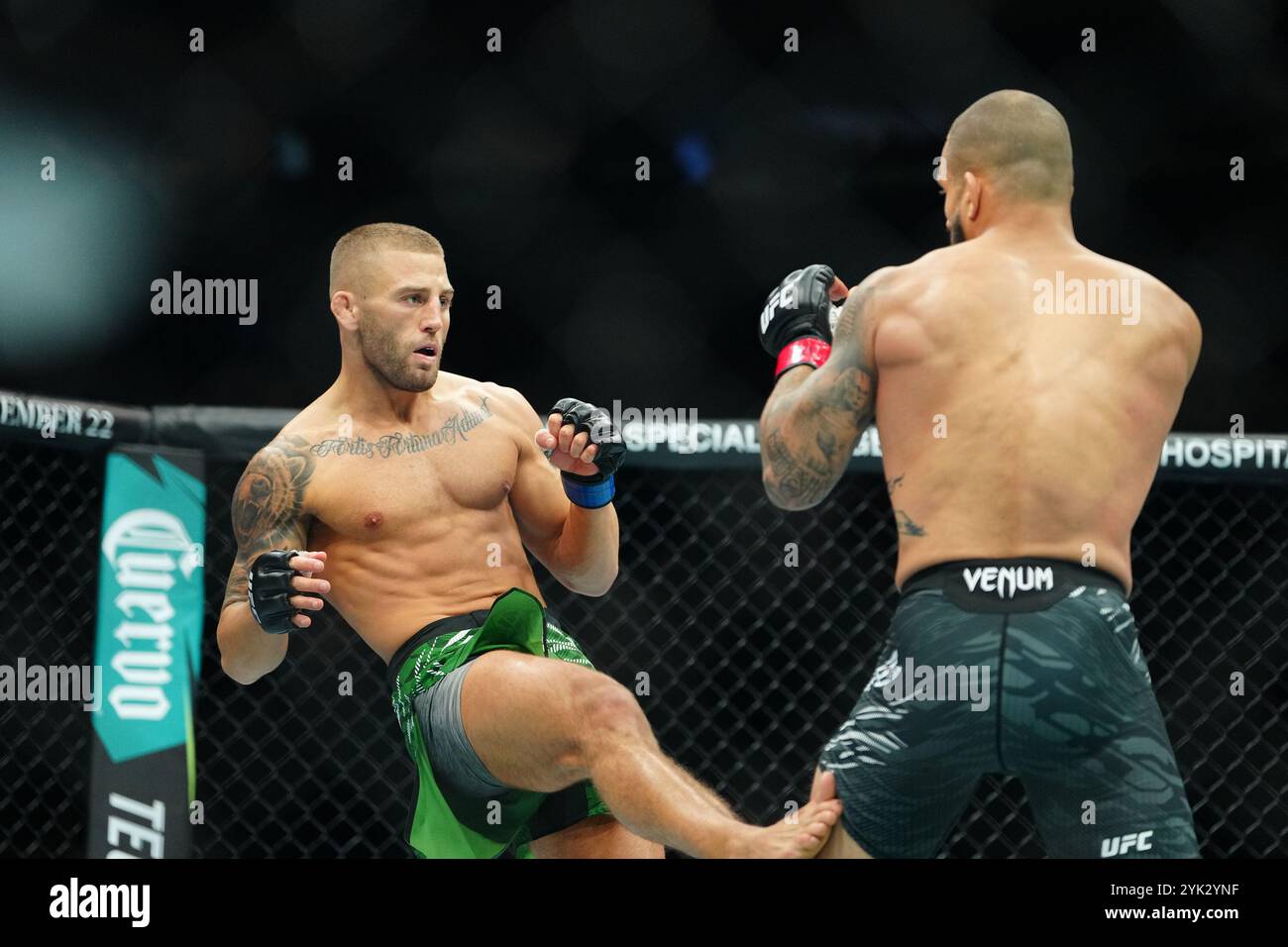 Madison Square Garden NEW YORK CITY, NY -NOVEMBER 16:Bassil Hafez and ...
