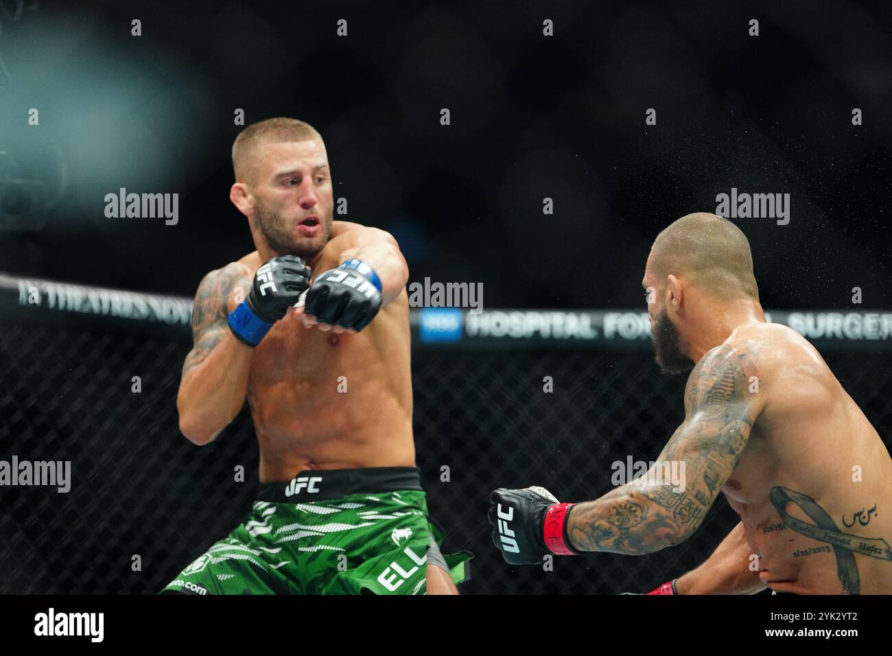 Madison Square Garden NEW YORK CITY, NY -NOVEMBER 16:Bassil Hafez and ...