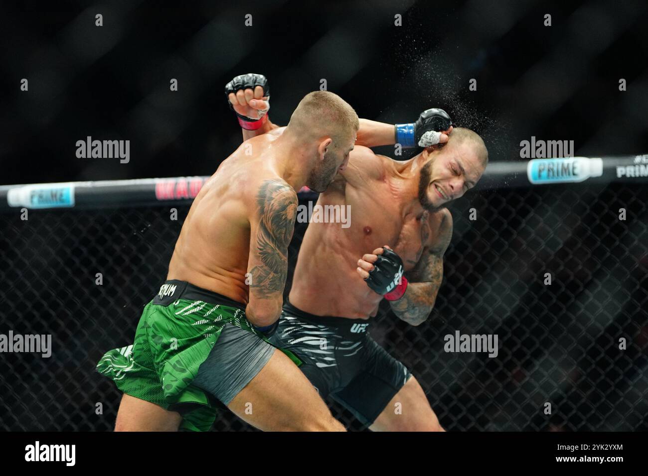 Bassil hafez and oban elliott hi-res stock photography and images - Alamy