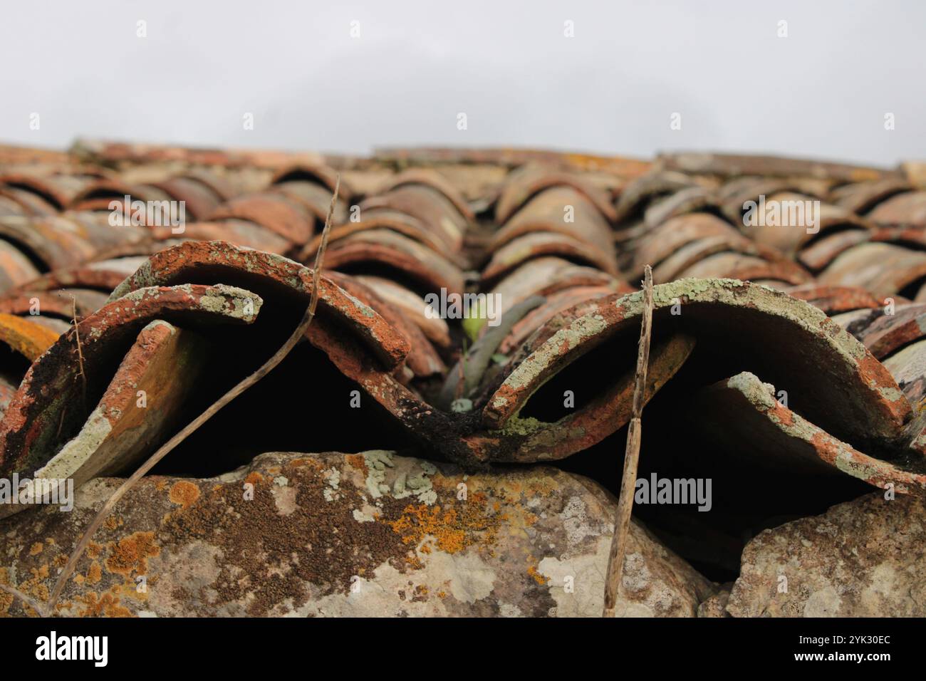 Traditional shelter construction hi-res stock photography and images ...