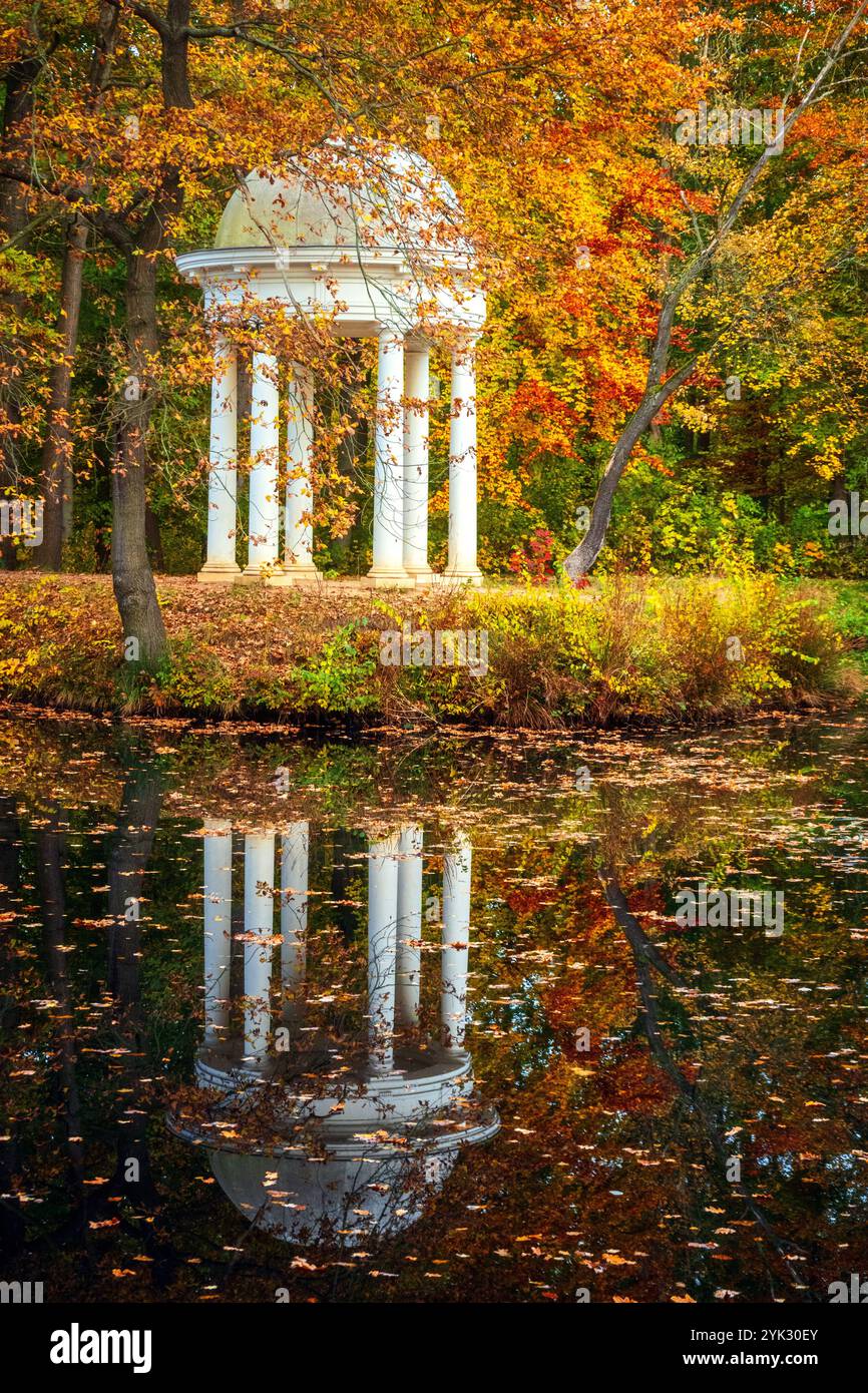 lake, pavilion, park, autumn, foliage, forest, floodplain forest ...