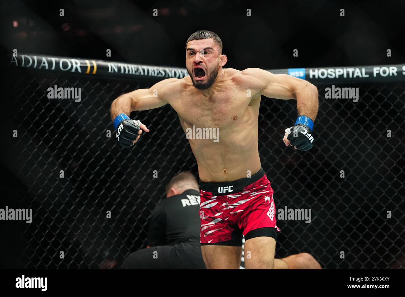 Madison Square Garden NEW YORK CITY, NY -NOVEMBER 16:Ramiz Brahimaj ...