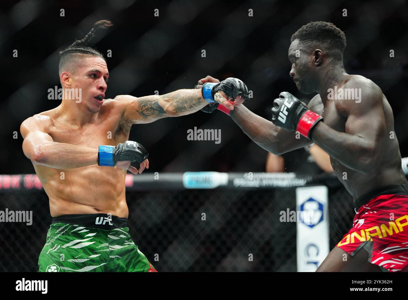 Madison Square Garden NEW YORK CITY, NY -NOVEMBER 16:David Onama and ...