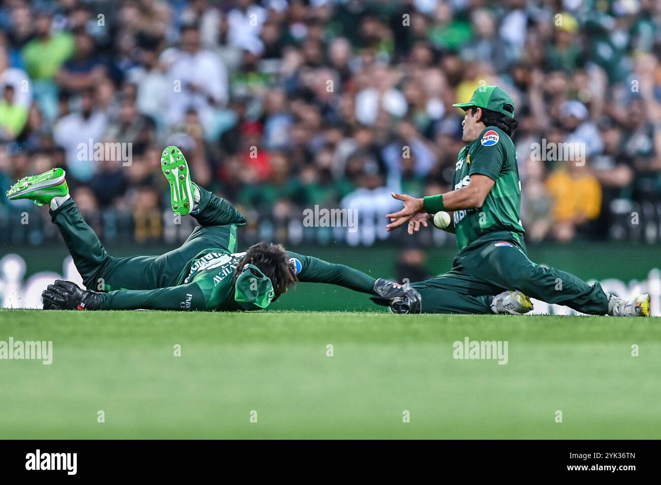 Cricket catch drop hi-res stock photography and images - Alamy