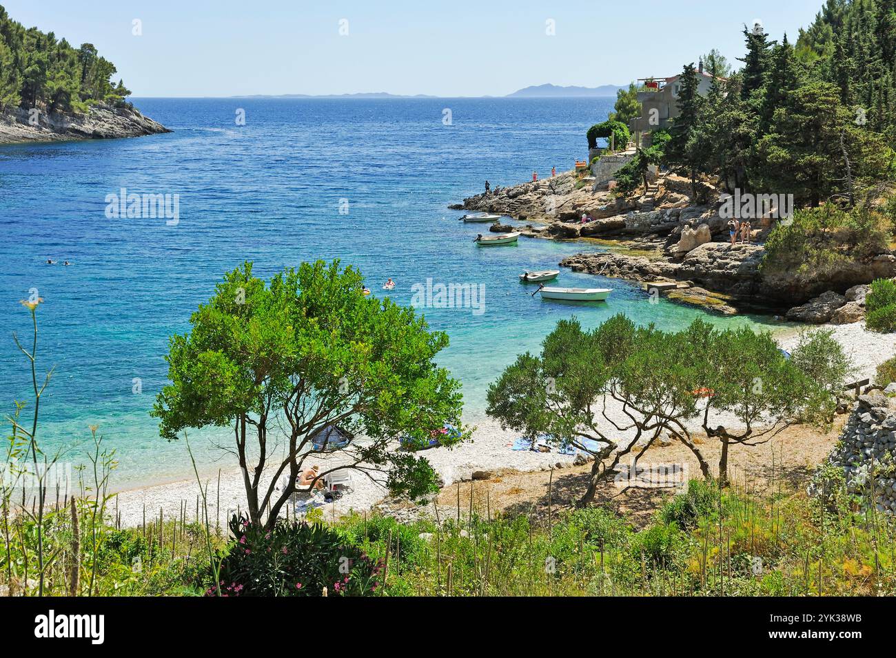 beach of Pupnatska luka bay, Pupnat, Korcula island, Croatia, Southeast ...