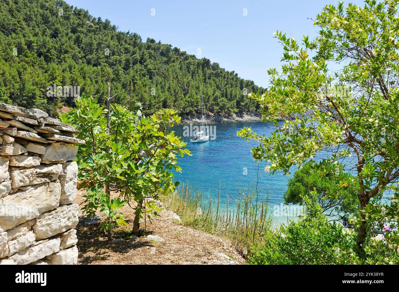 Pupnatska luka bay, Pupnat, Korcula island, Croatia, Southeast Europe ...