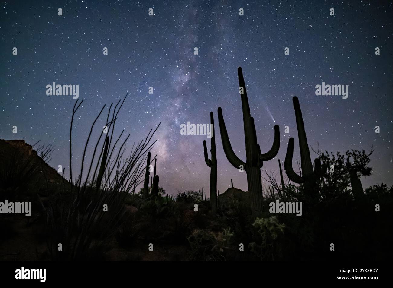 Comet C/2023 A3 (Tsuchinshan-ATLAS Stock Photo - Alamy