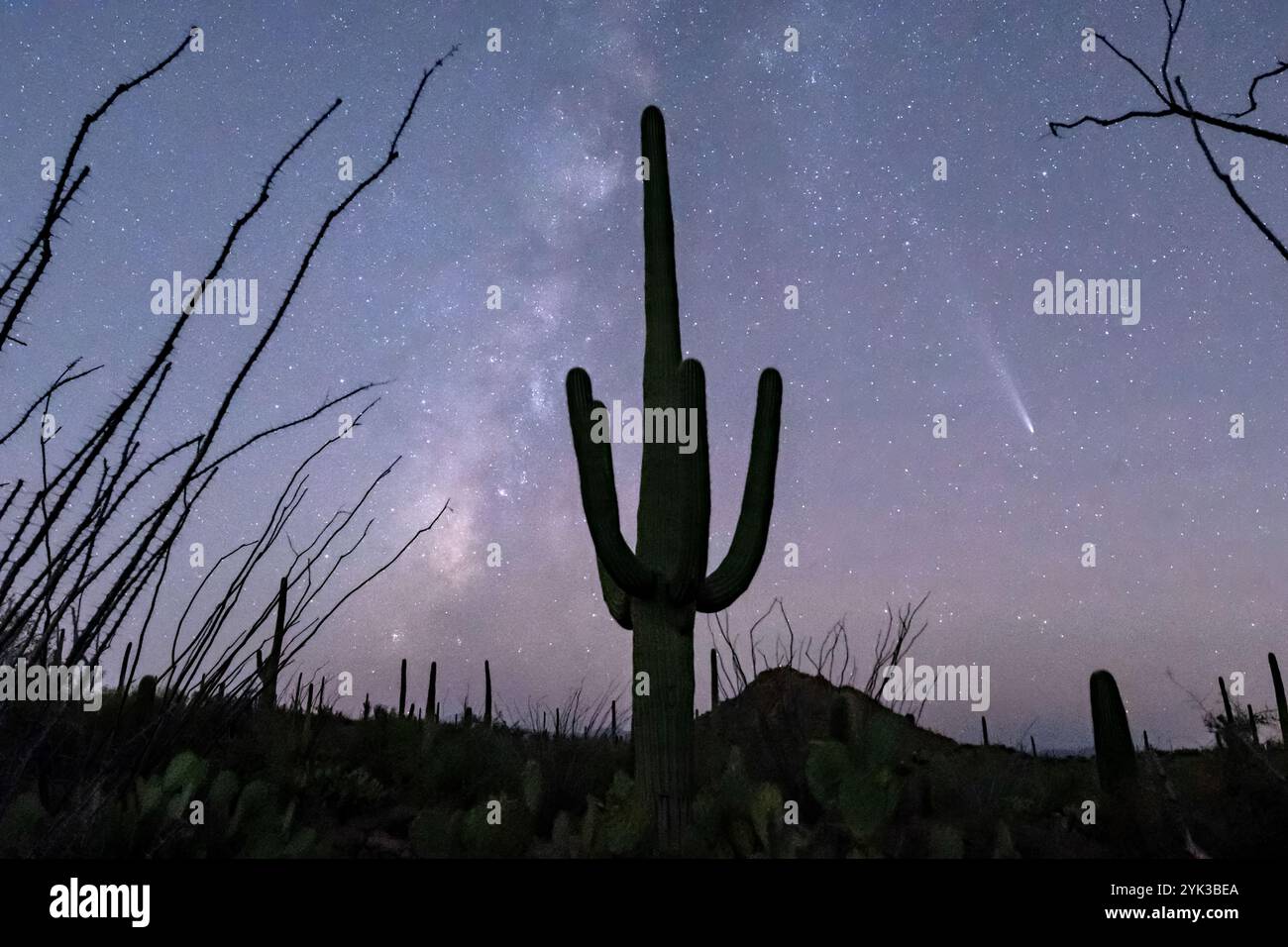 Comet C/2023 A3 (Tsuchinshan-ATLAS Stock Photo - Alamy