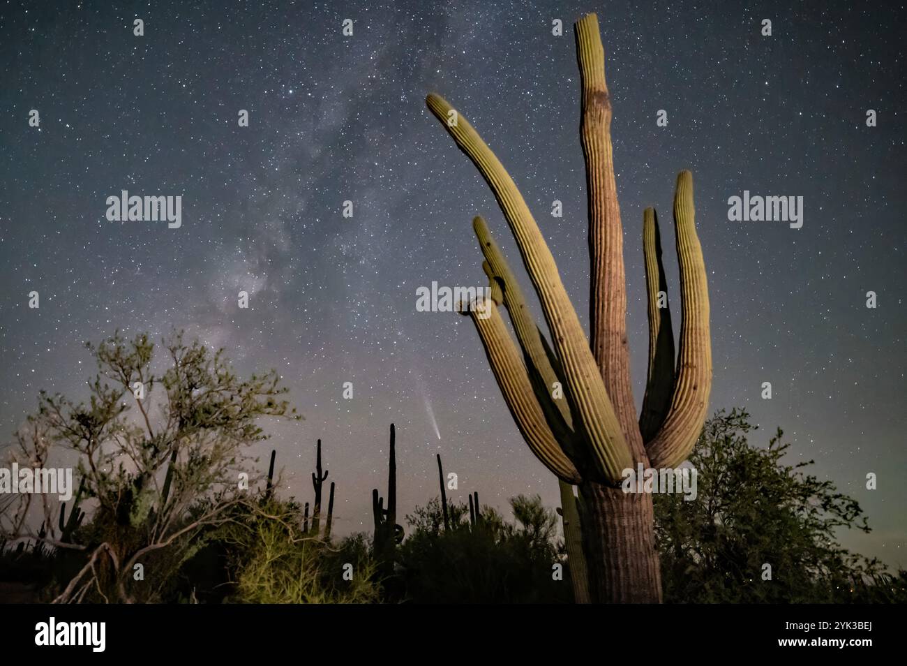 Comet C/2023 A3 (Tsuchinshan-ATLAS Stock Photo - Alamy