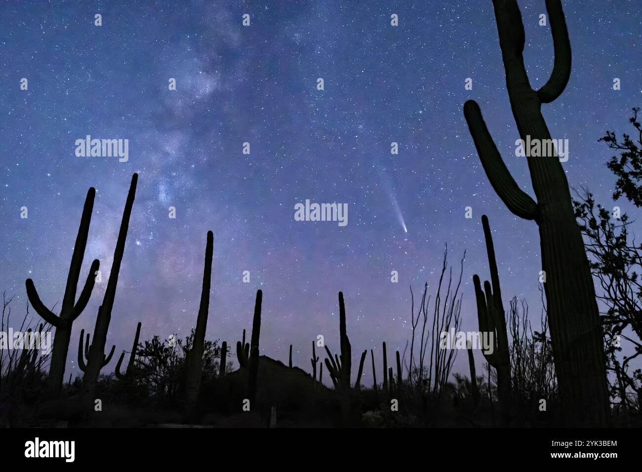 C 2023 a3 tsuchinshan atlas hi-res stock photography and images - Alamy