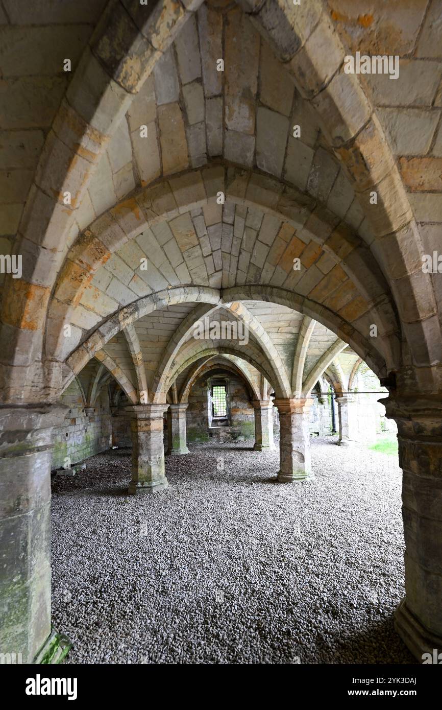 The undercroft of St Leonard's Hospital in Museum Gardens, York, North ...