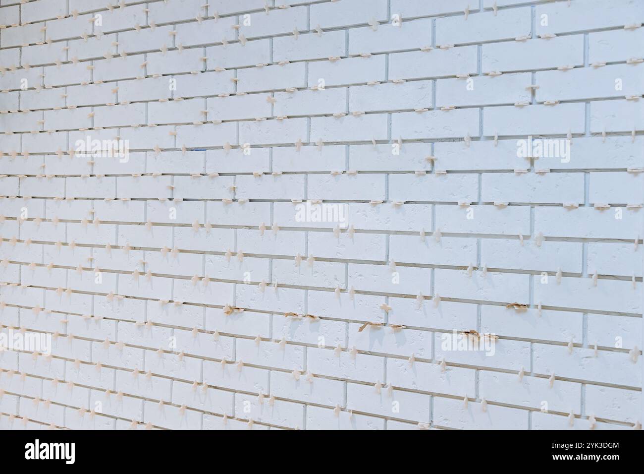 A white brick wall reveals a textured surface with visible ...
